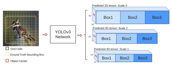 学Yolo？必须要知道的基础内容 - 知乎