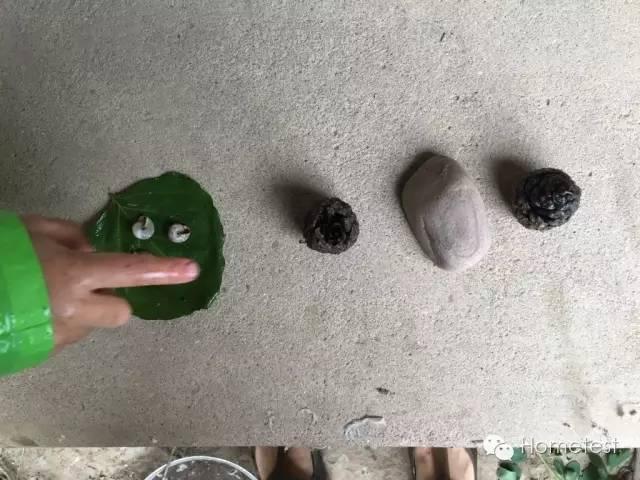 9个简单有趣的亲子妙招，让你的孩子远离手机回归自然！ - 知乎