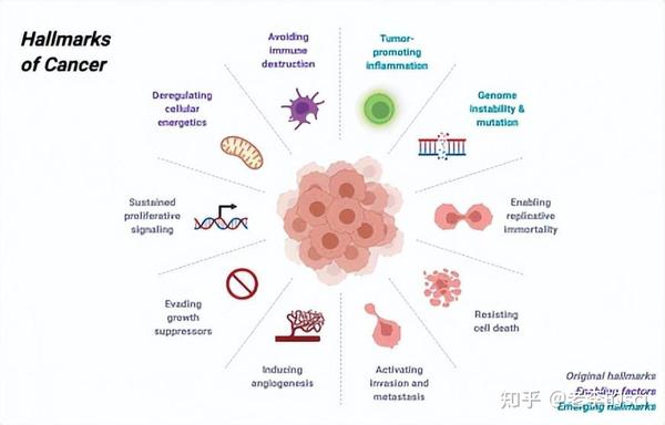 如何做出CNS级别的论文插图？配色指南和软件推荐来了！ - 知乎