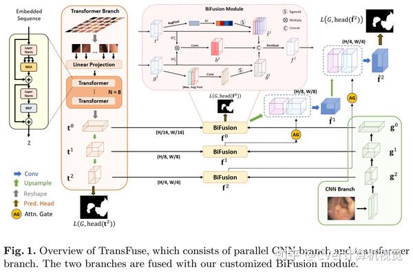 TransFuse:融合Transformers和CNN用于医学图像分割 - 知乎 TransFuse:融合Transformers和CNN用于医学图像分割 - 知乎