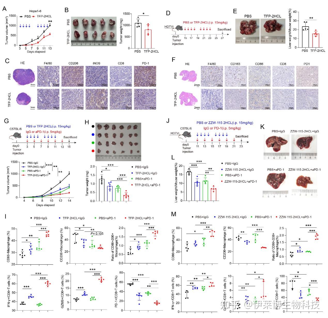 Advanced science最新研究表明： 乳酸化驱动的NUPR1促进肝细胞癌中肿瘤浸润巨噬细胞的免疫抑制效应 - 知乎