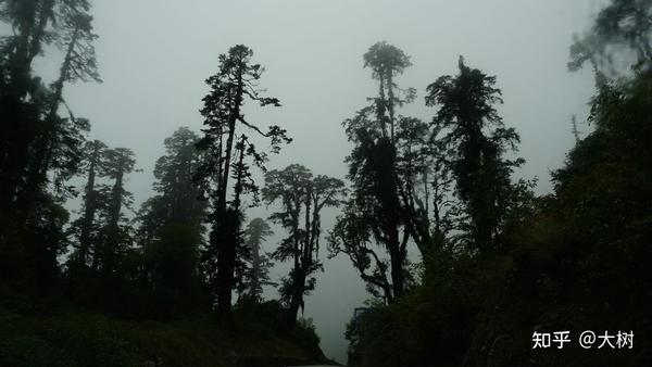 电影《封神第一部》外景设定——找寻中国神话之美 - 知乎