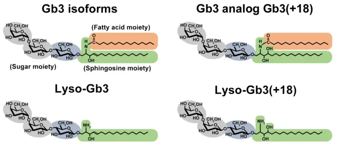 基于生物标志物的靶向代谢组学技术平台及其应用 - 知乎