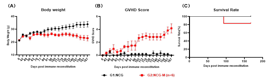 重建人类免疫系统（T细胞B细胞髓系细胞）模型/集萃药康自主研发NCG-M