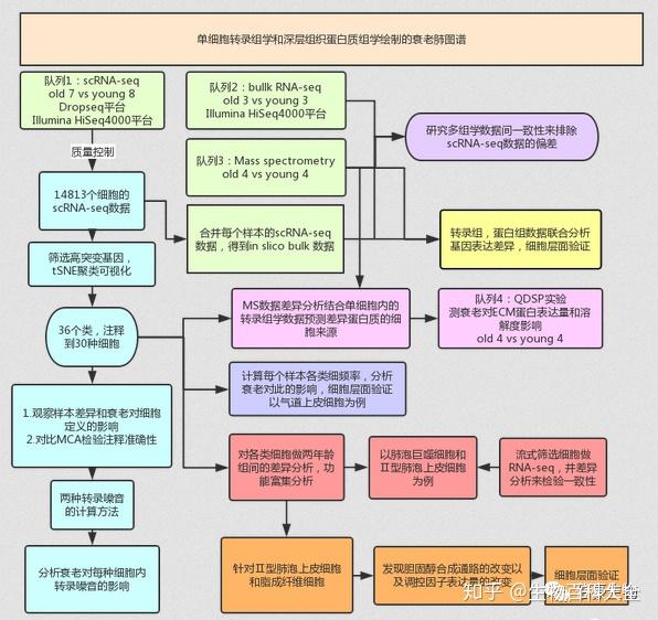 双剑合璧|scRNA-seq与bulk RNA-seq联合分析 - 知乎