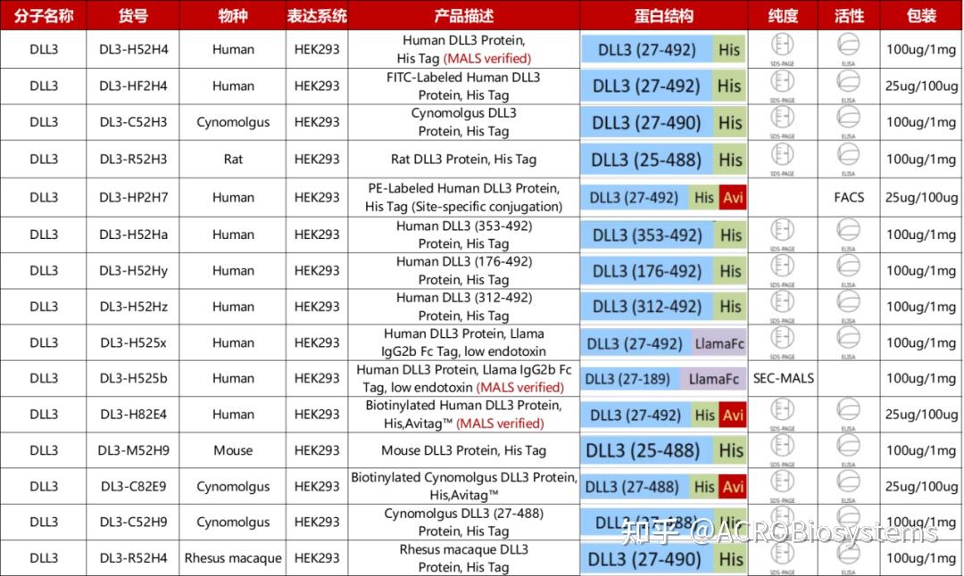 【最强组合】肺癌治疗热门靶点——DLL3 & Notch - 知乎
