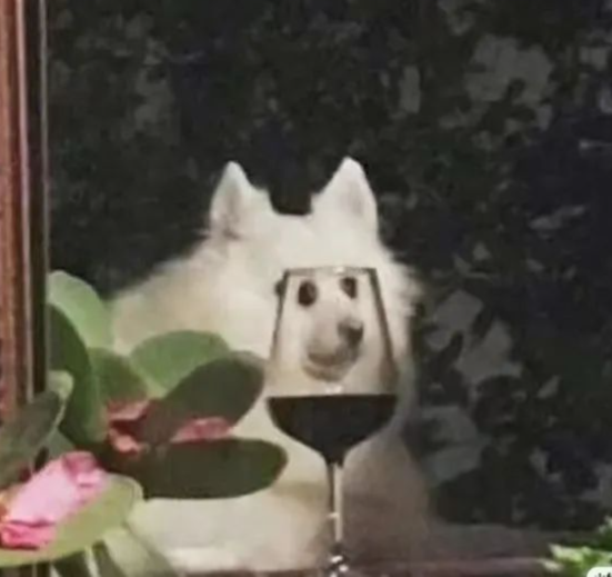 震惊！！原来翻硕MTI448百科卷王的秘密武器是...... - 知乎