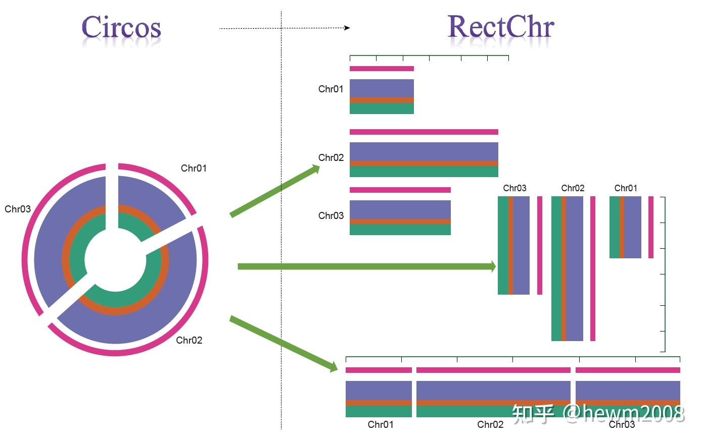 RectChr 简介 (升级后的) 1.41之后 - 知乎