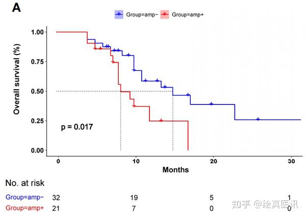 EGFR突变非小细胞肺癌患者在不同情形下检出EGFR扩增，有何临床意义？ - 知乎