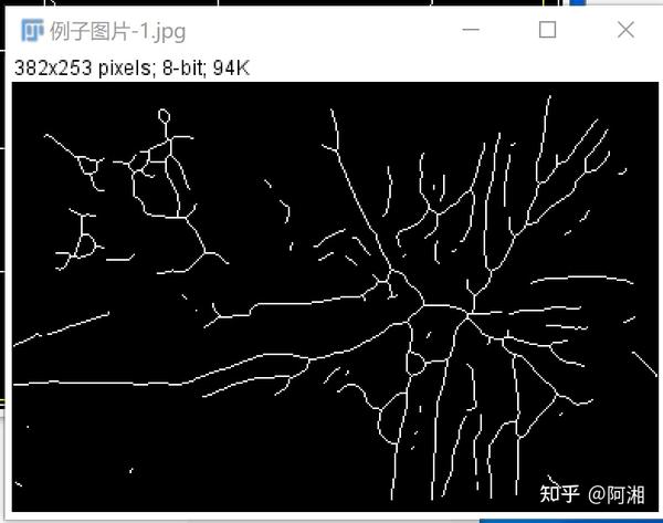 ImageJ分析细胞形态 - 知乎