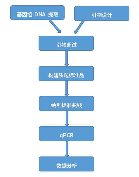 快速获取基因拷贝数与表达水平差异—实时荧光定量PCR技术(Quantitative Real-time PCR，qRt-PCR) - 知乎