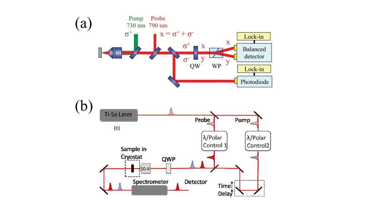 pump-probe技术在2D TMDs中的应用 - 知乎