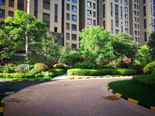 每天认识一家地产公司（49） 中建东孚地产 知乎