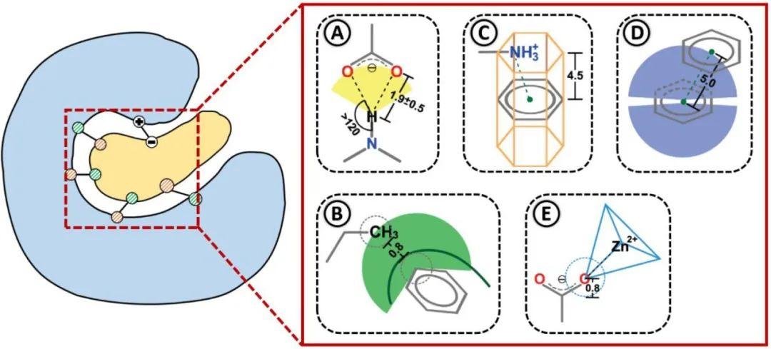 重庆大学梁桂兆教授课题组JAFC综述：分子模拟方法在食品科学中的应用：现状与前景 - 知乎