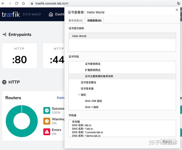 Traefik v3.0 Docker 全面使用指南：基础篇 - 知乎