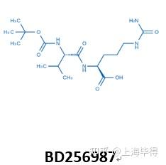 深入解析ADC连接子vcMMAE的作用机制与优势 - 知乎