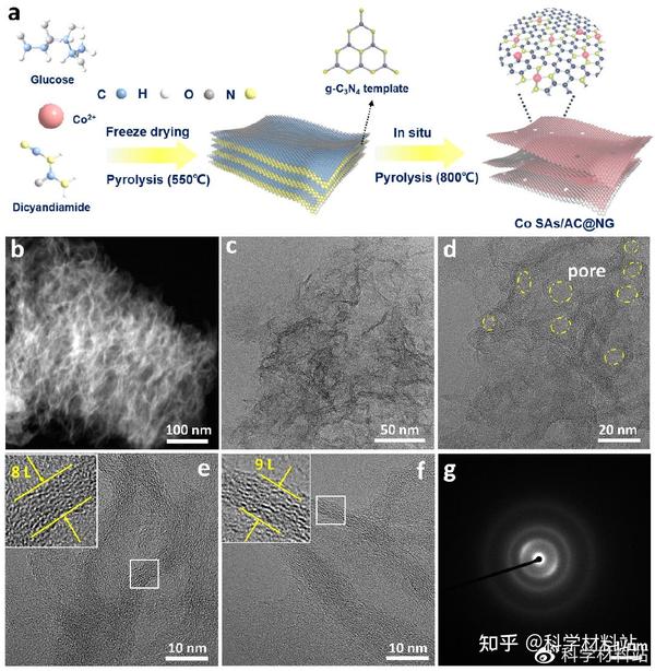 哈工大（深圳）徐成彦/福建物构所温珍海AFM：高载量Co单原子和团簇共同促进ORR活性提升 - 知乎