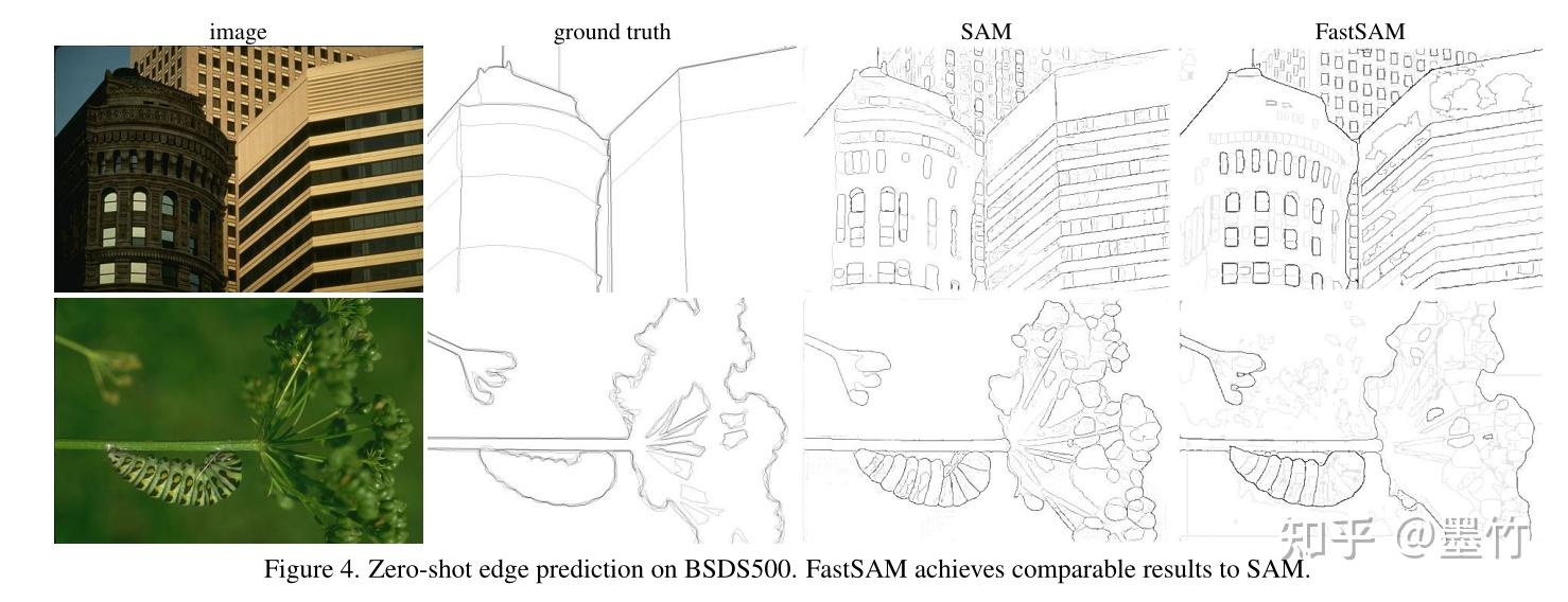 【Paper日记】FastSAM vs. MobileSAM vs. SAM - 知乎