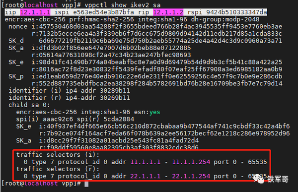 VPP配置指南：基于IKEv2的IPsec VPN - 知乎