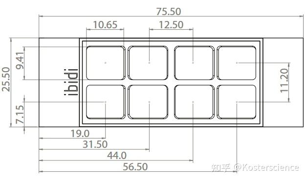免疫荧光，易如反掌 | ibidi 8 孔腔室载玻片玩转指南 - 知乎