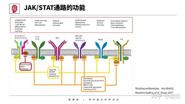 1条就是1篇SCI！带你研究12条信号通路，NF-κB、MAPK、AKT、PI3K…… - 知乎