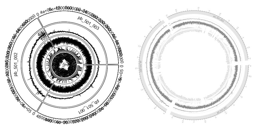 【小刻也能看懂的R数据可视化】好康的circos图（翻译与修改） - 知乎