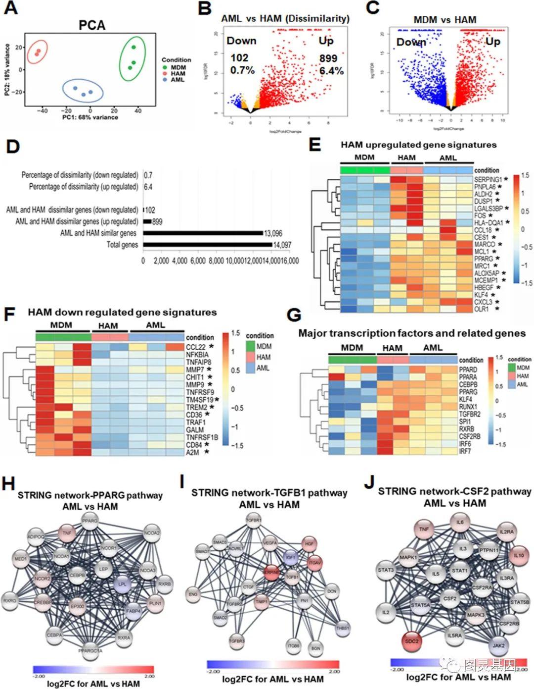 mBio｜模拟肺泡环境的巨噬细胞培养模型研究呼吸系统疾病 - 知乎