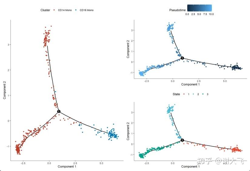 monocle2拟时序分析 笔记 - 知乎