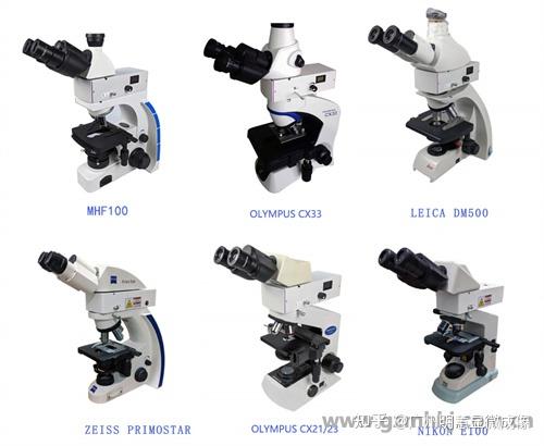 医院检验科用的皮肤真菌荧光显微镜 - 知乎
