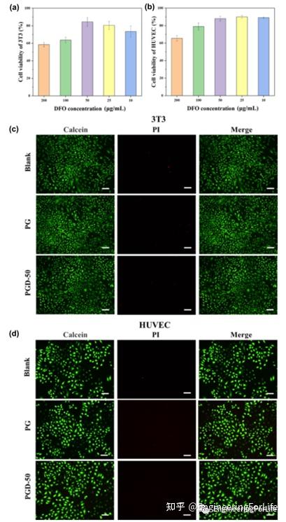 《Nano Research》：PCL纤维/GelMA水凝胶复合敷料用于糖尿病伤口愈合 - 知乎