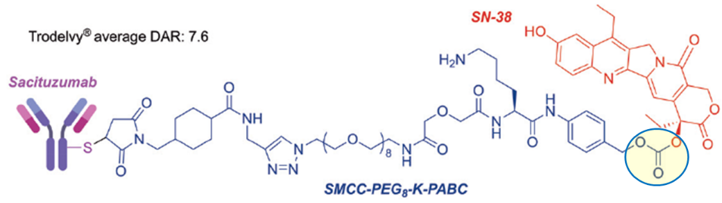 13-曜享干货 | 连接子（Linker）——mAb到ADC之路的关键 - 知乎