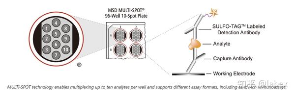 电化学发光 MSD技术与S-PLEX - 知乎