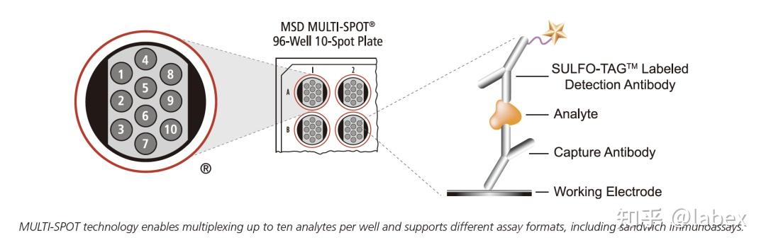 电化学发光 MSD技术与S-PLEX - 知乎