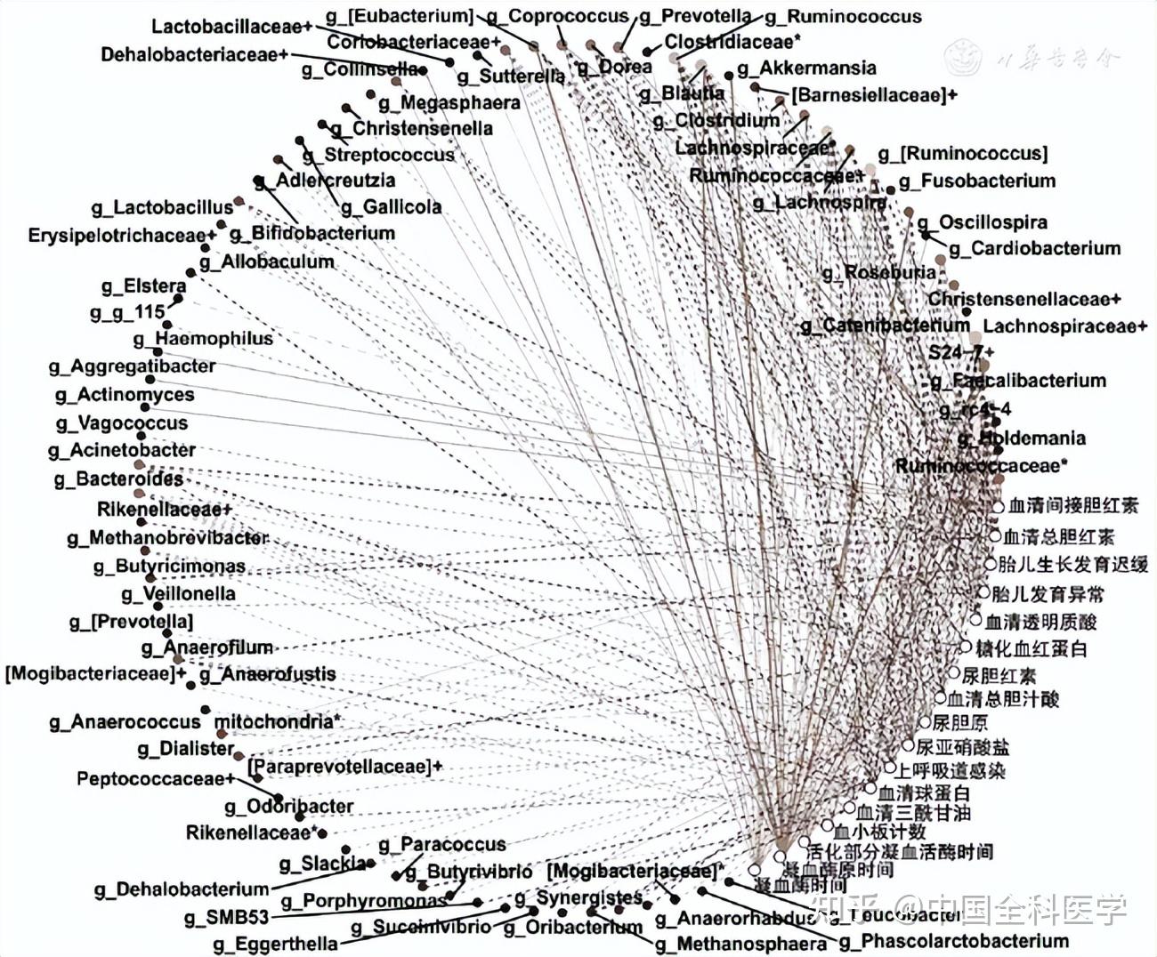 孕妇肠道菌群对新生儿出生体质量的影响研究 - 知乎