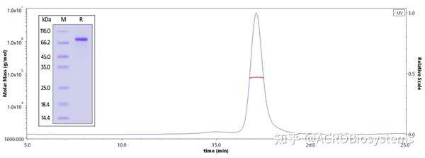 【运铁能手】TF&TFR，ADC药物热门靶点 - 知乎
