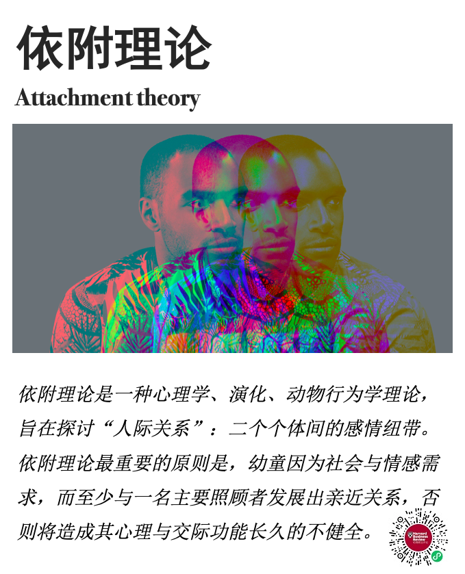  Attachment Theory 