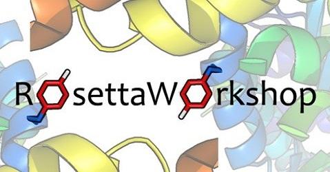 蛋白质稳定性预测工具-Rosetta ddg_monomer - 知乎