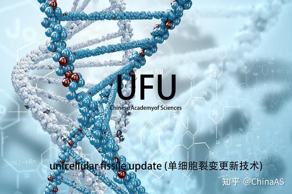 UFU人类历史上的学术金字塔 - 知乎