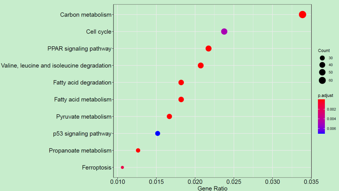 【R】气泡图和柱形图展示挑选的KEGG通路 - 知乎