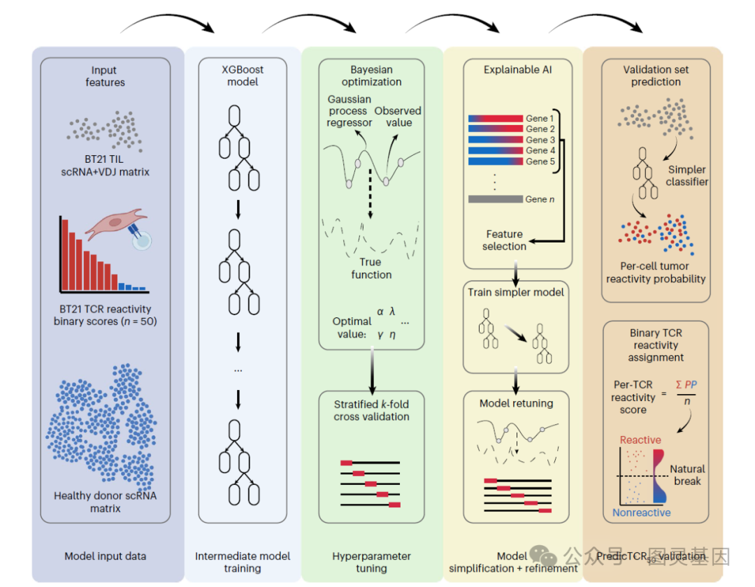 Nat Biotech ｜ scRNA-seq预测肿瘤反应性TCRs用于个性化T细胞治疗 - 知乎