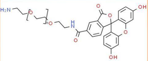 FITC PEG NH2含有荧光素染料和胺基 ，Fluorescein-PEG-amine - 知乎
