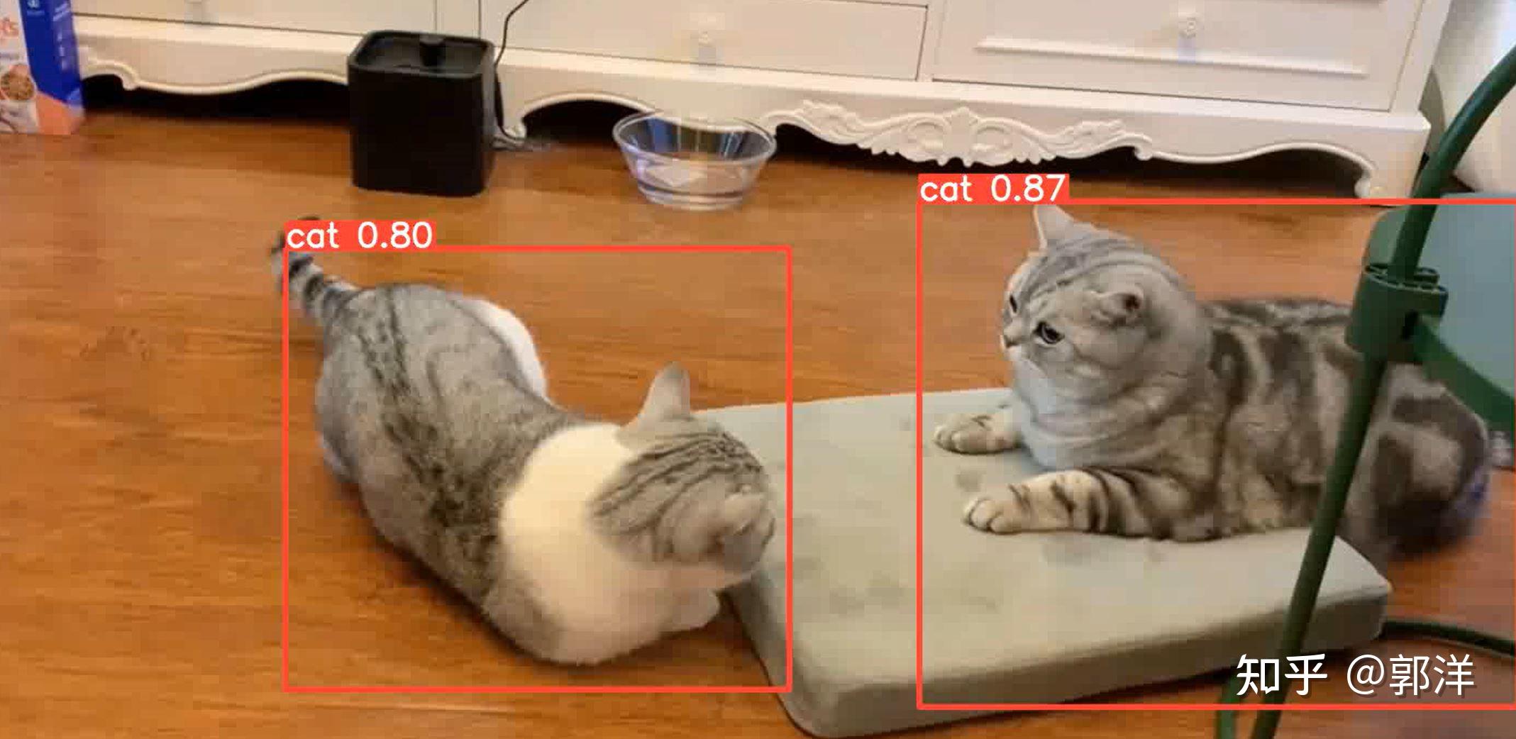 利用yoloV5训练自己的数据集 - 知乎