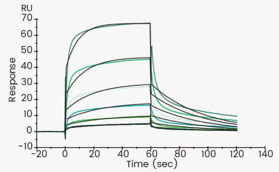Fc region为何如此重要？ - 知乎