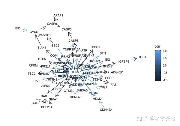 R 数据可视化 —— ggraph 节点与边 - 知乎