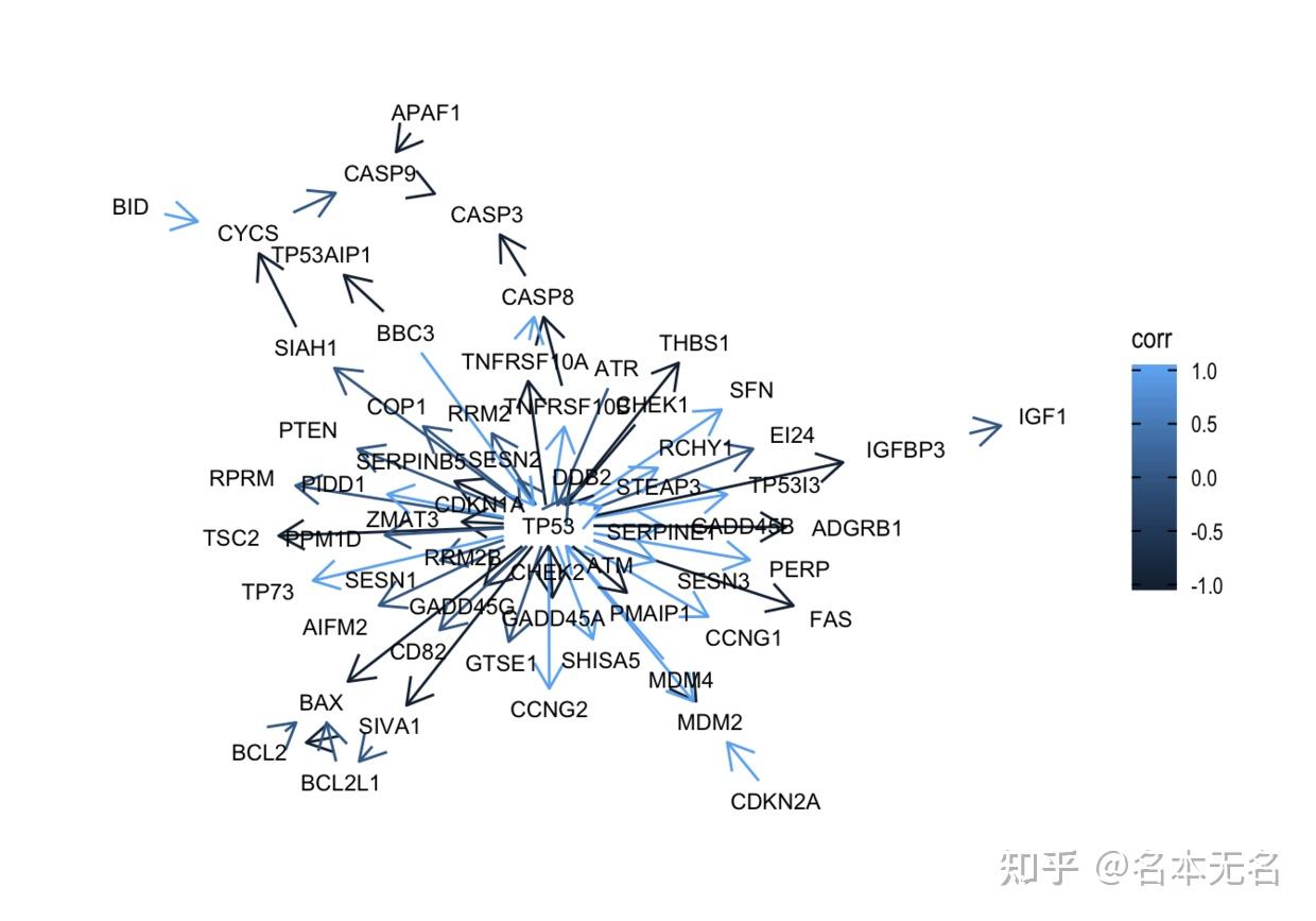 R 数据可视化 —— ggraph 节点与边 - 知乎