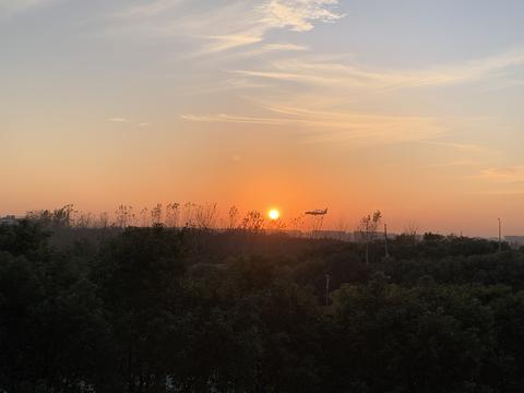 LLM(25)：从控制系统到语言模型 —— Mamba 的前世今生 - 知乎