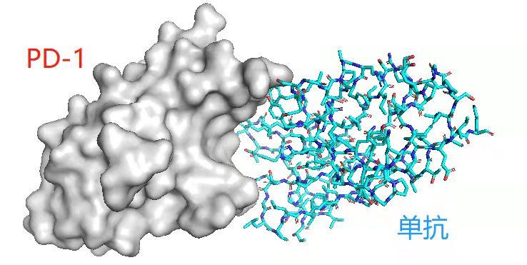 CADD深度学习 - 知乎