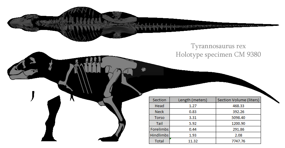 【转】霸王龙头骨较完整个体一览 - 知乎