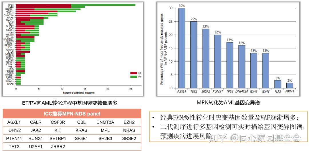 经典型MPN：PV/ET/PMF （1） - 知乎