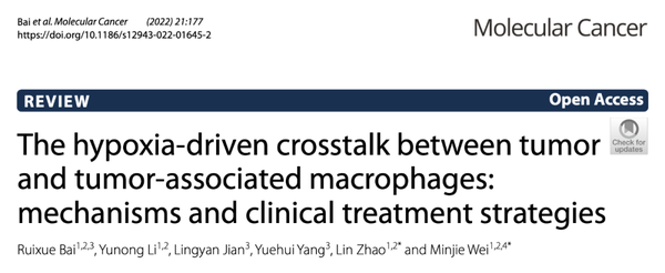 Mol Cancer 丨 缺氧驱动巨噬细胞分化和与肿瘤的交互 - 知乎